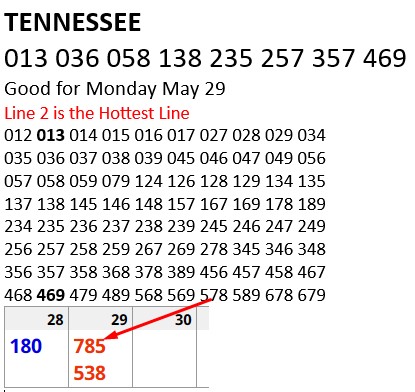Play All 80 Numbers (if you can) | Pick3 Master 333